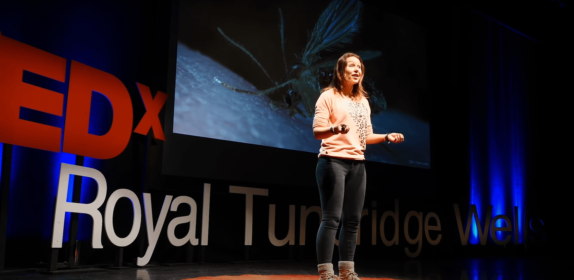 Pip Stewart on cutaneous leishmaniasis: ‘It wasn’t just the parasite ...