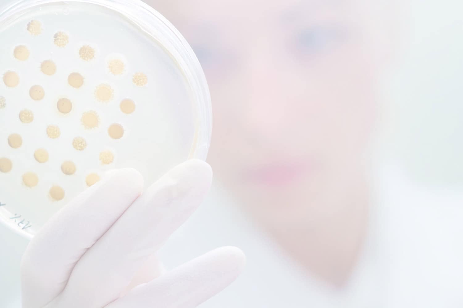 Entasis Therapeutics and the Global Antibiotic Research & Development ...