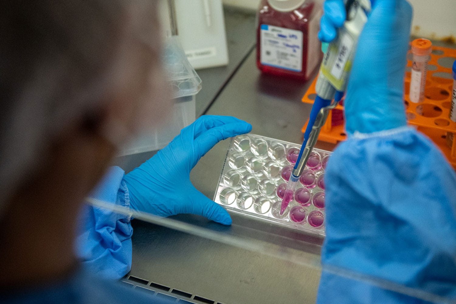 DNDi statement on the approval of the Instituto Butantan’s dengue ...