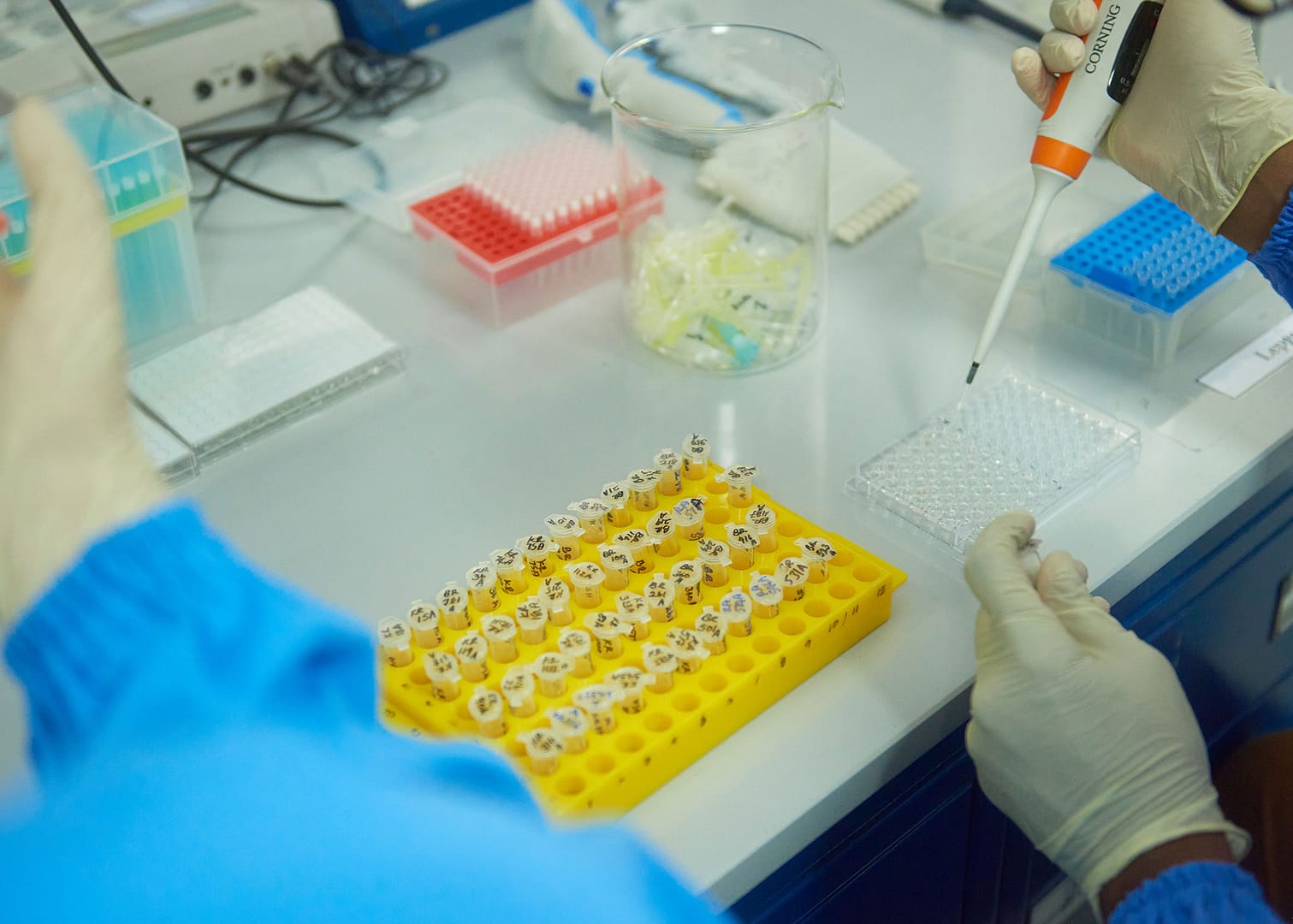 DNDi welcomes GHIT support for new collaboration with Eisai for dengue and Zika virus disease