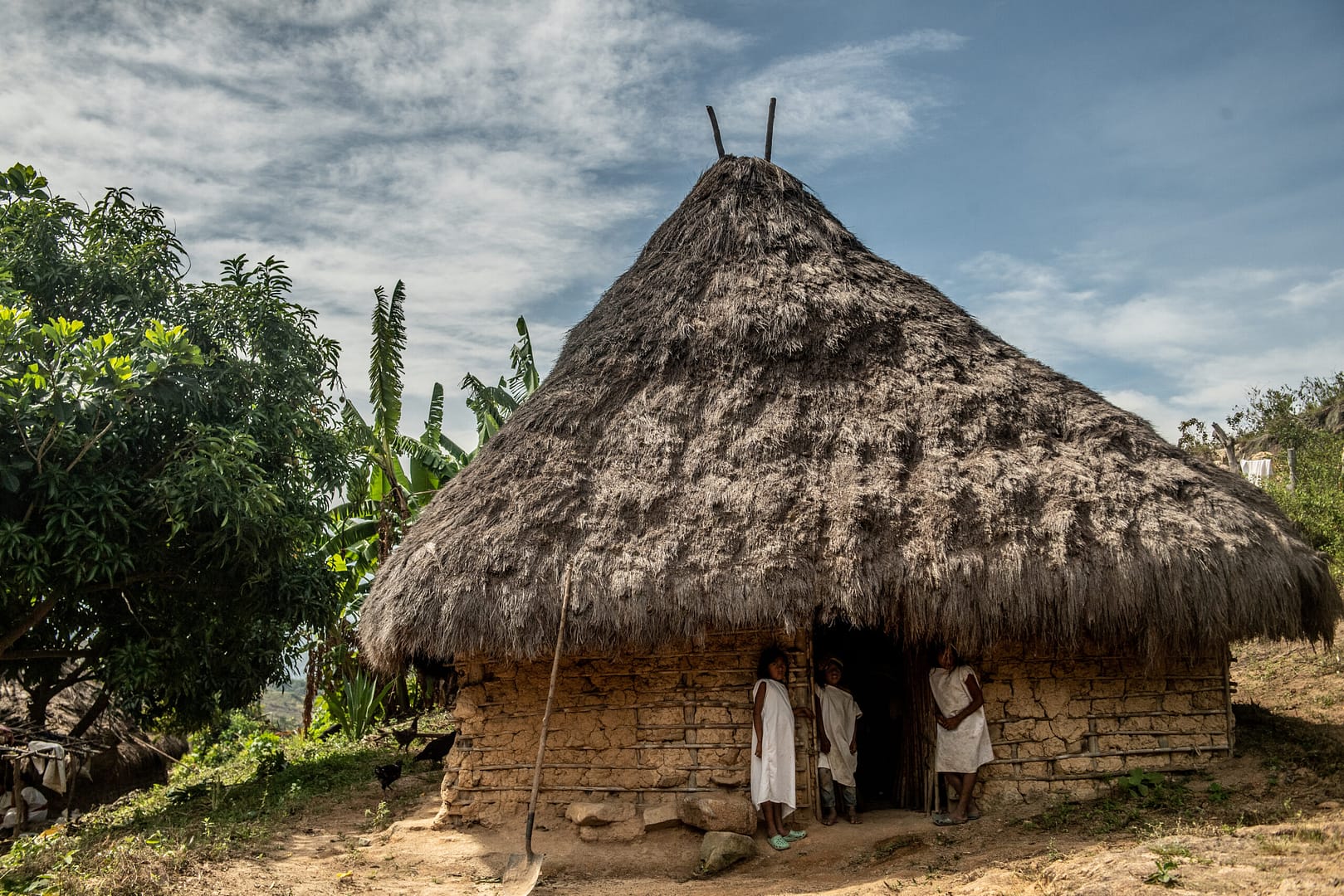 AN2 Therapeutics and DNDi collaborate on clinical development of ...