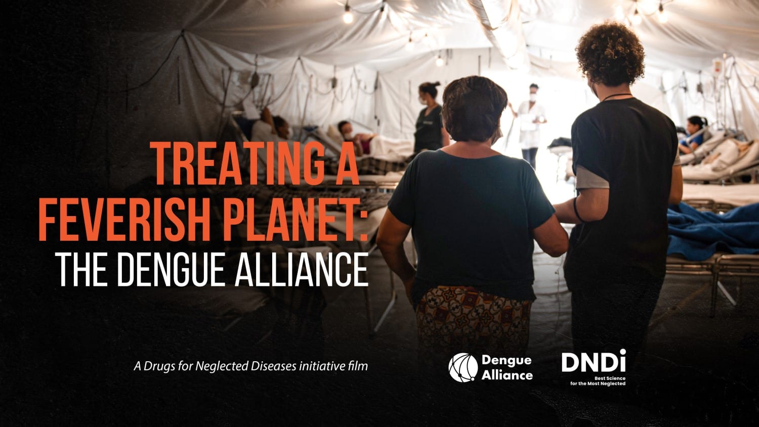 Treating a feverish planet: The Dengue Alliance | DNDi